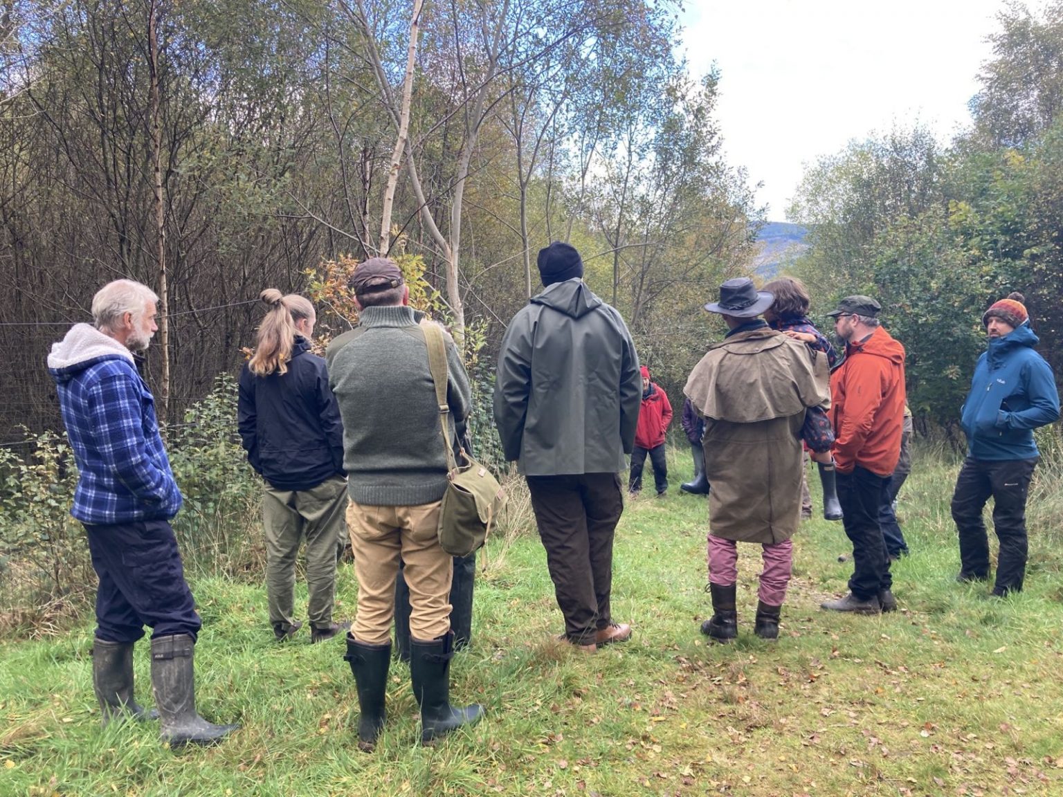 Reforesting Scotland – Restoring the land and the people